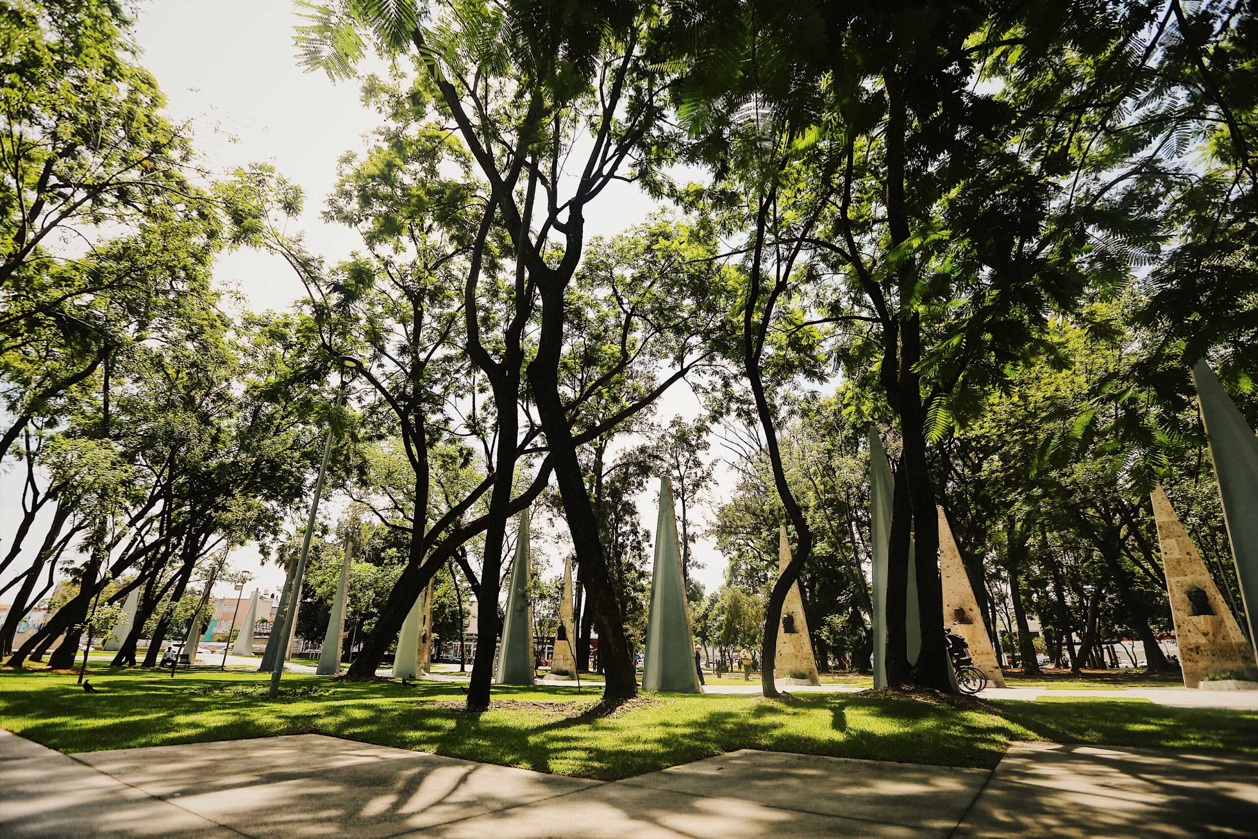 Parque Morelos - Bosques urbanos