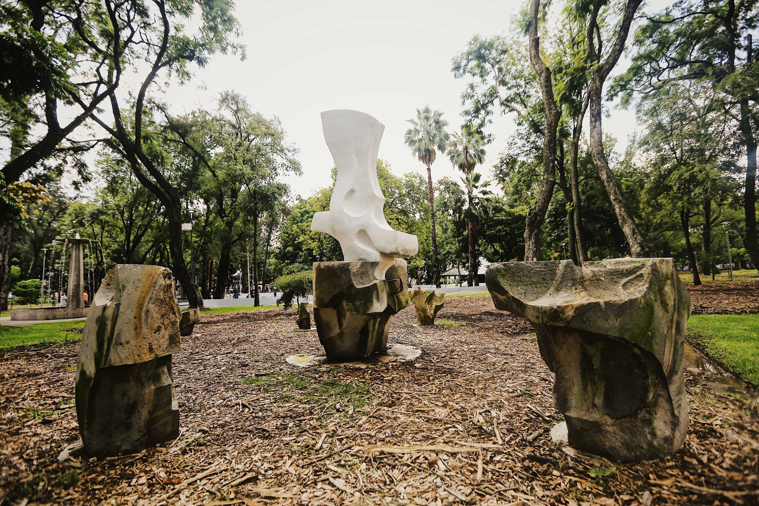 Parque Morelos - Bosques urbanos