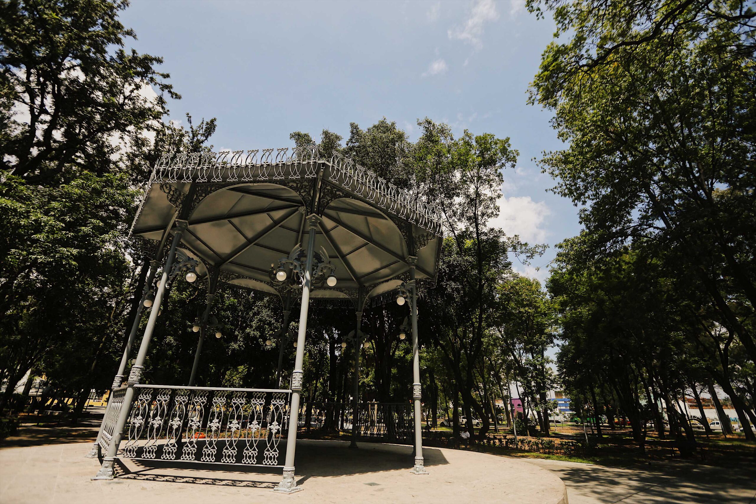 Parque Morelos - Bosques urbanos