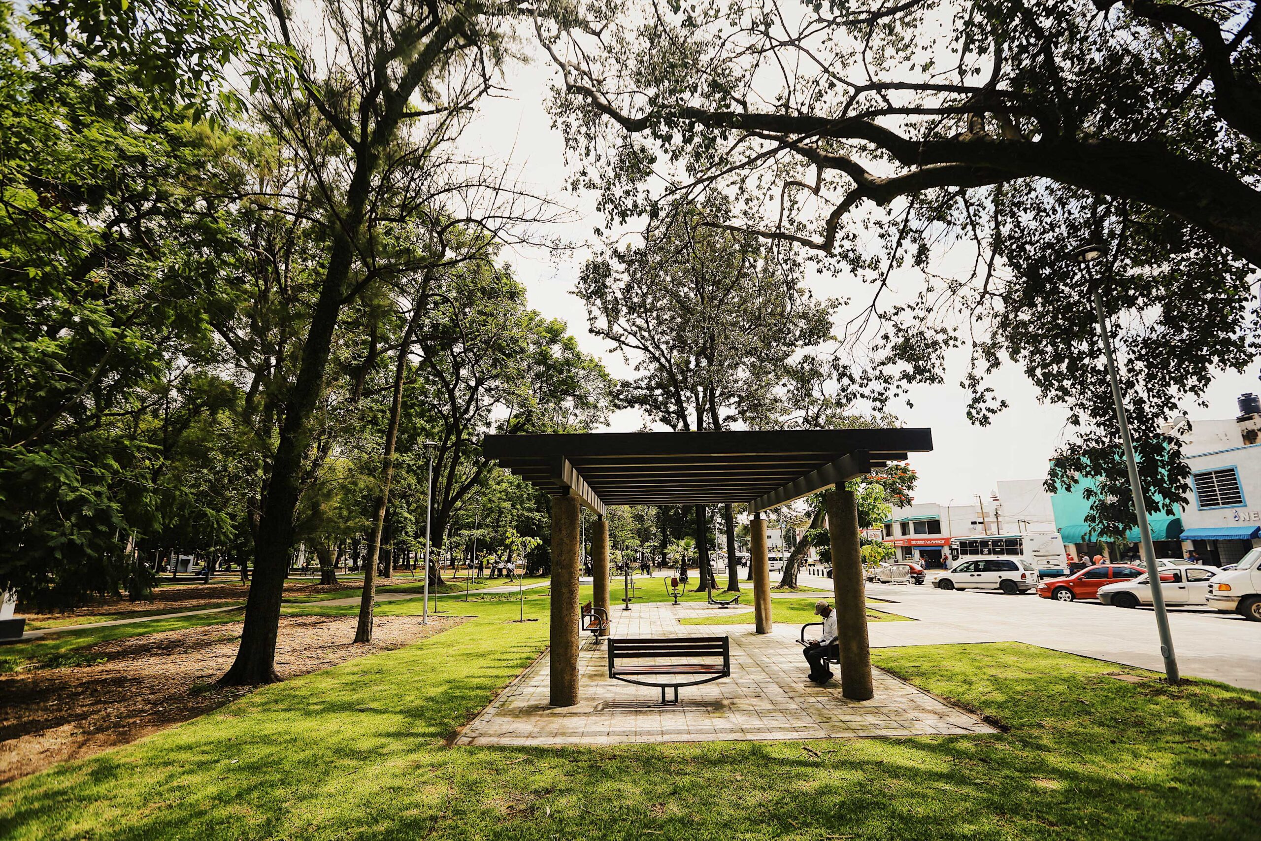 Parque Morelos - Bosques urbanos