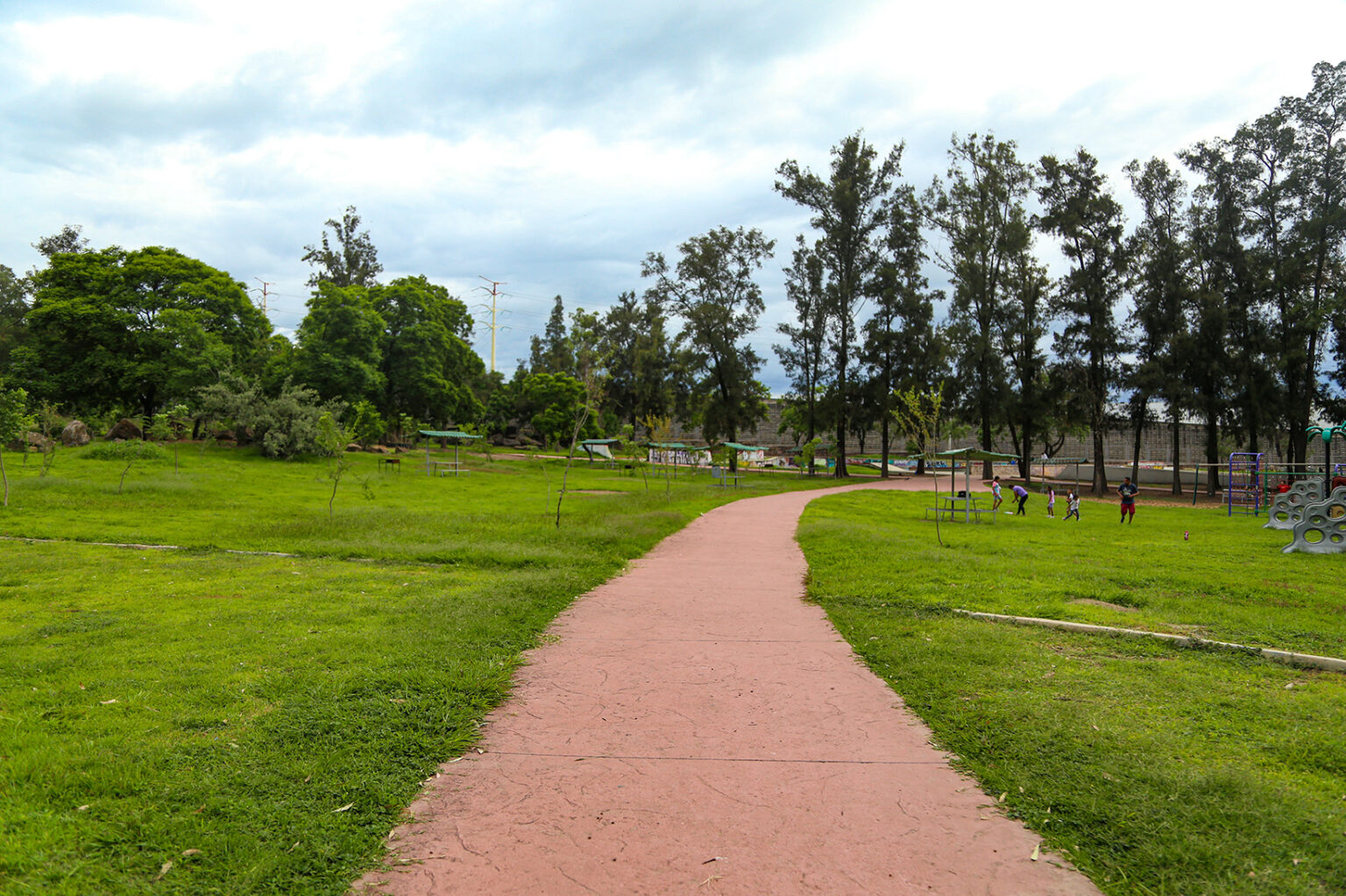 Parque Montenegro - Bosques urbanos