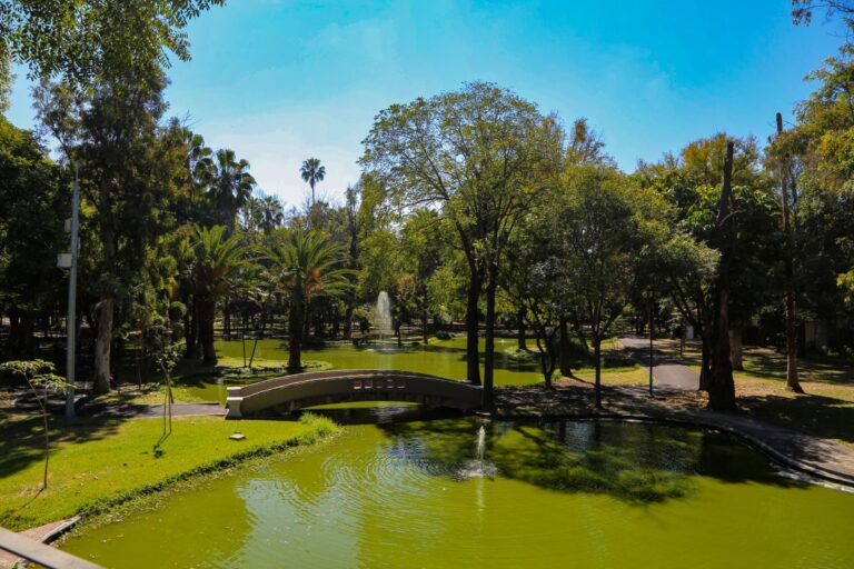 Parque Agua Azul - Bosques urbanos