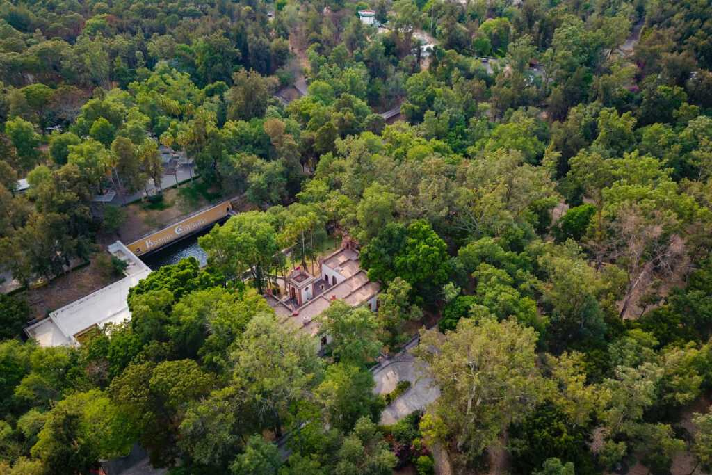 Bosque Los Colomos - Bosques urbanos