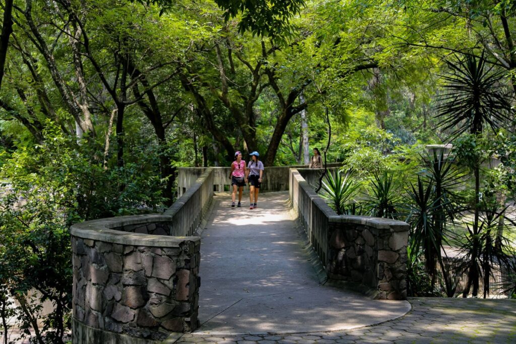 Bosque Los Colomos - Bosques urbanos