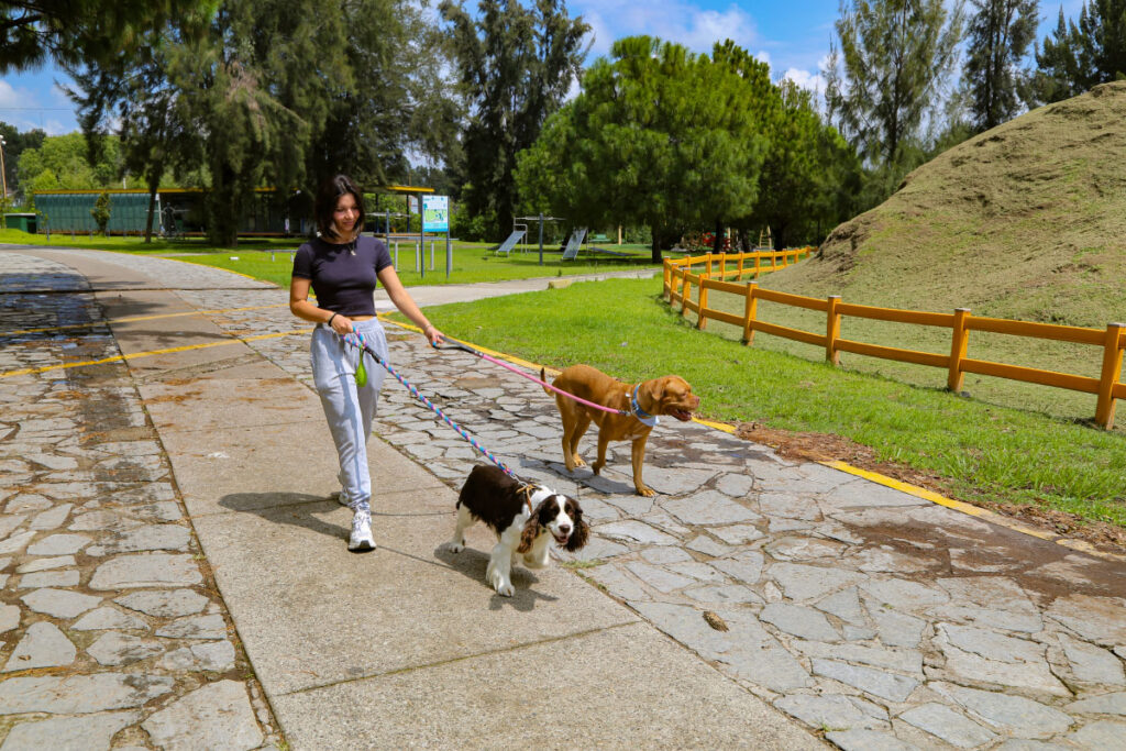 Parque Metropolitano de Guadalajara - Bosques urbanos