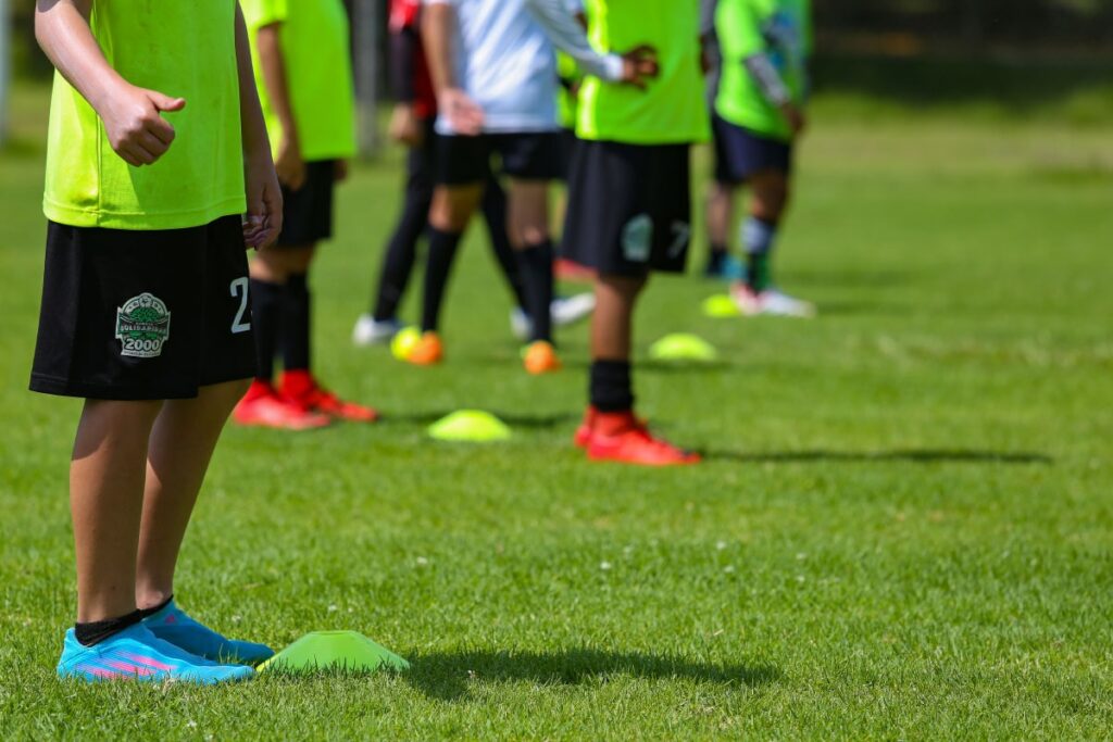 Parque General Luis Quintanar - Bosques urbanos