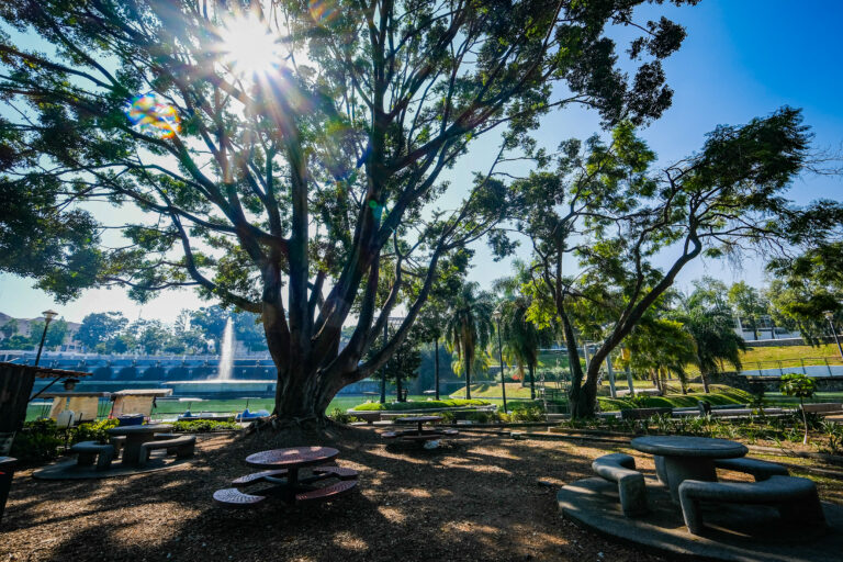 Parque Alcalde - Bosques urbanos