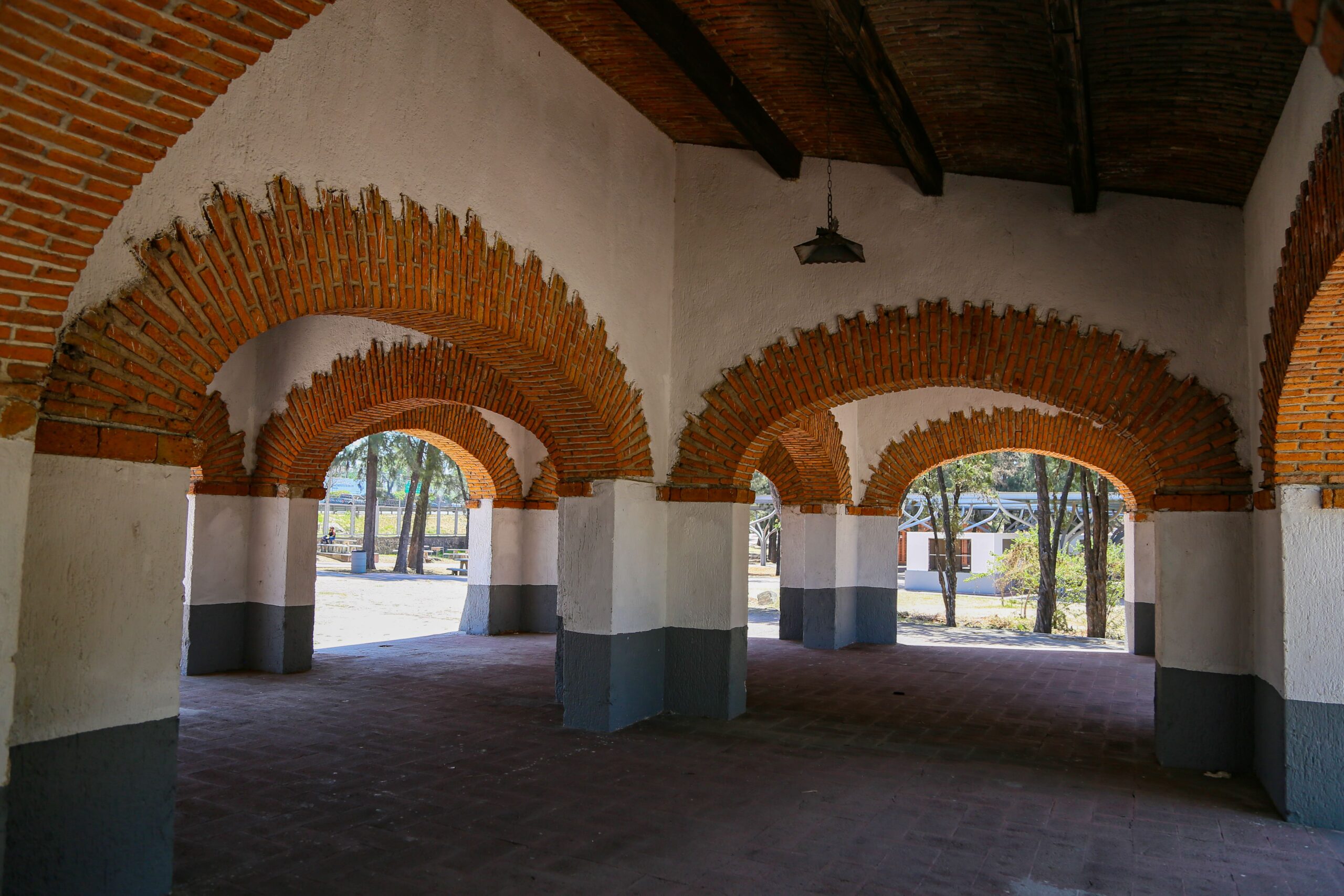 Parque Montenegro - Bosques urbanos