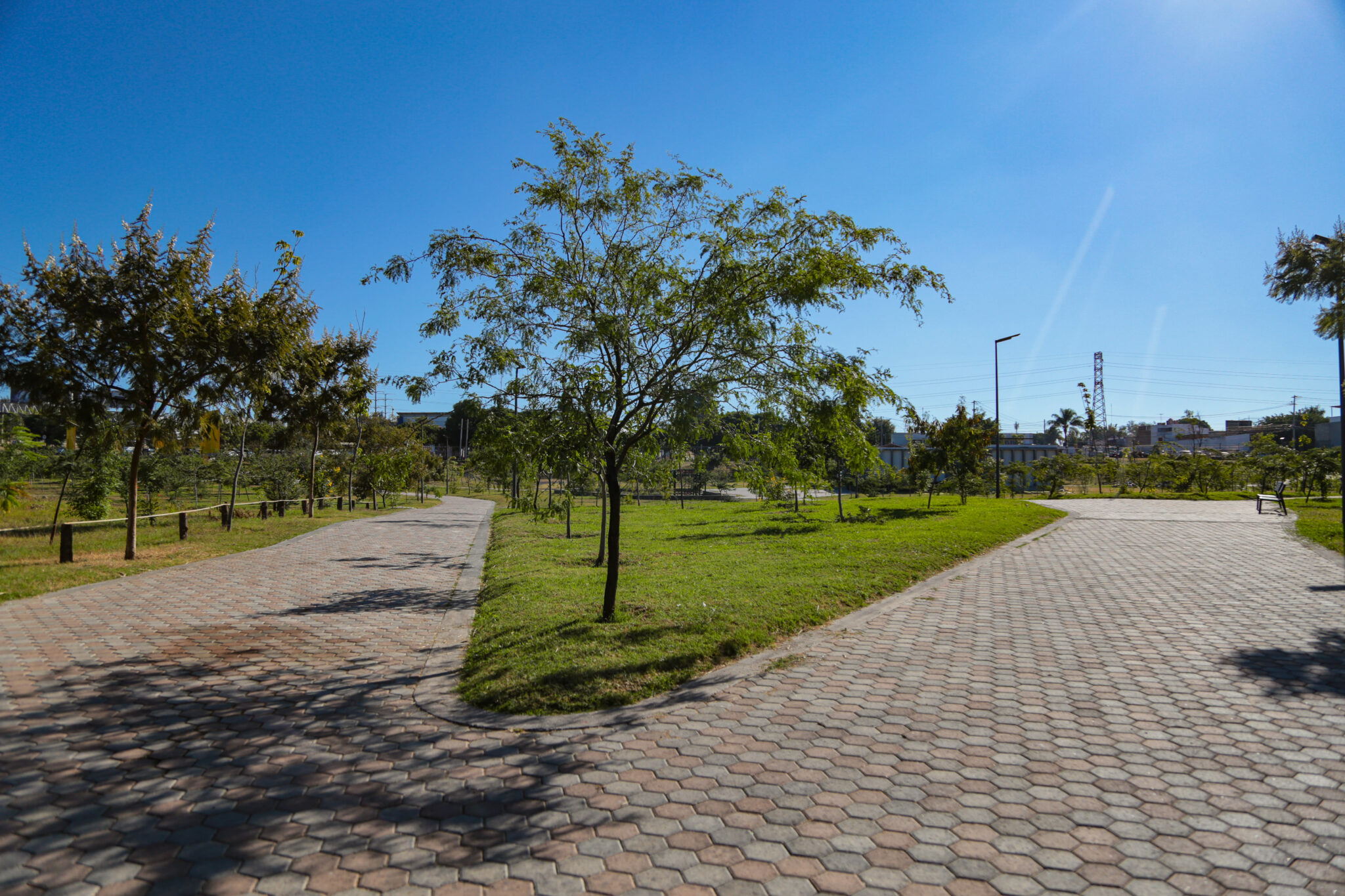 Bosque Urbano Tlaquepaque - Bosques urbanos